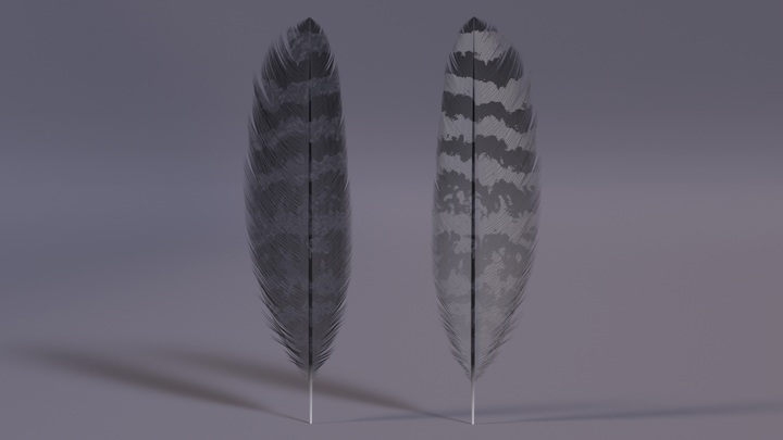 Feather Data