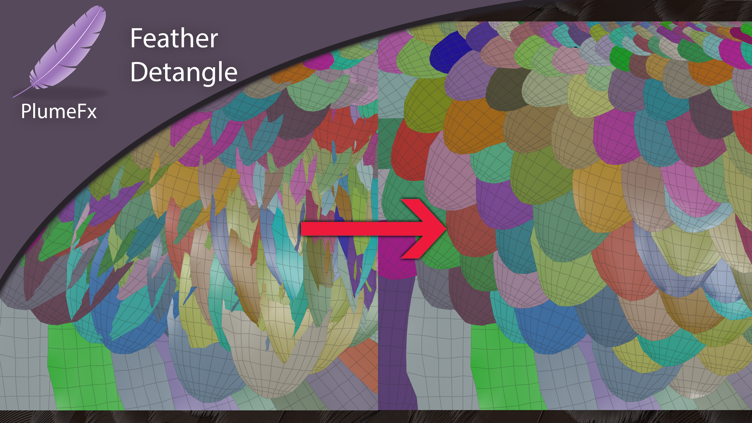 Feather Detangle