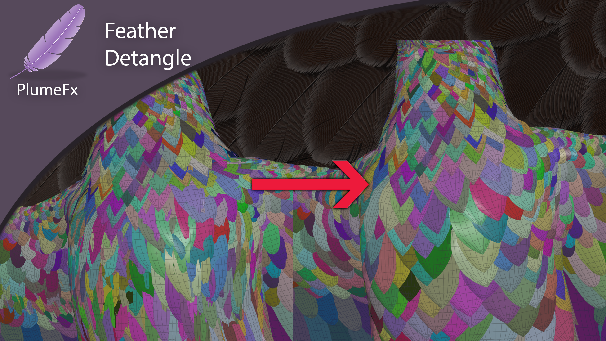 Feather Detangle