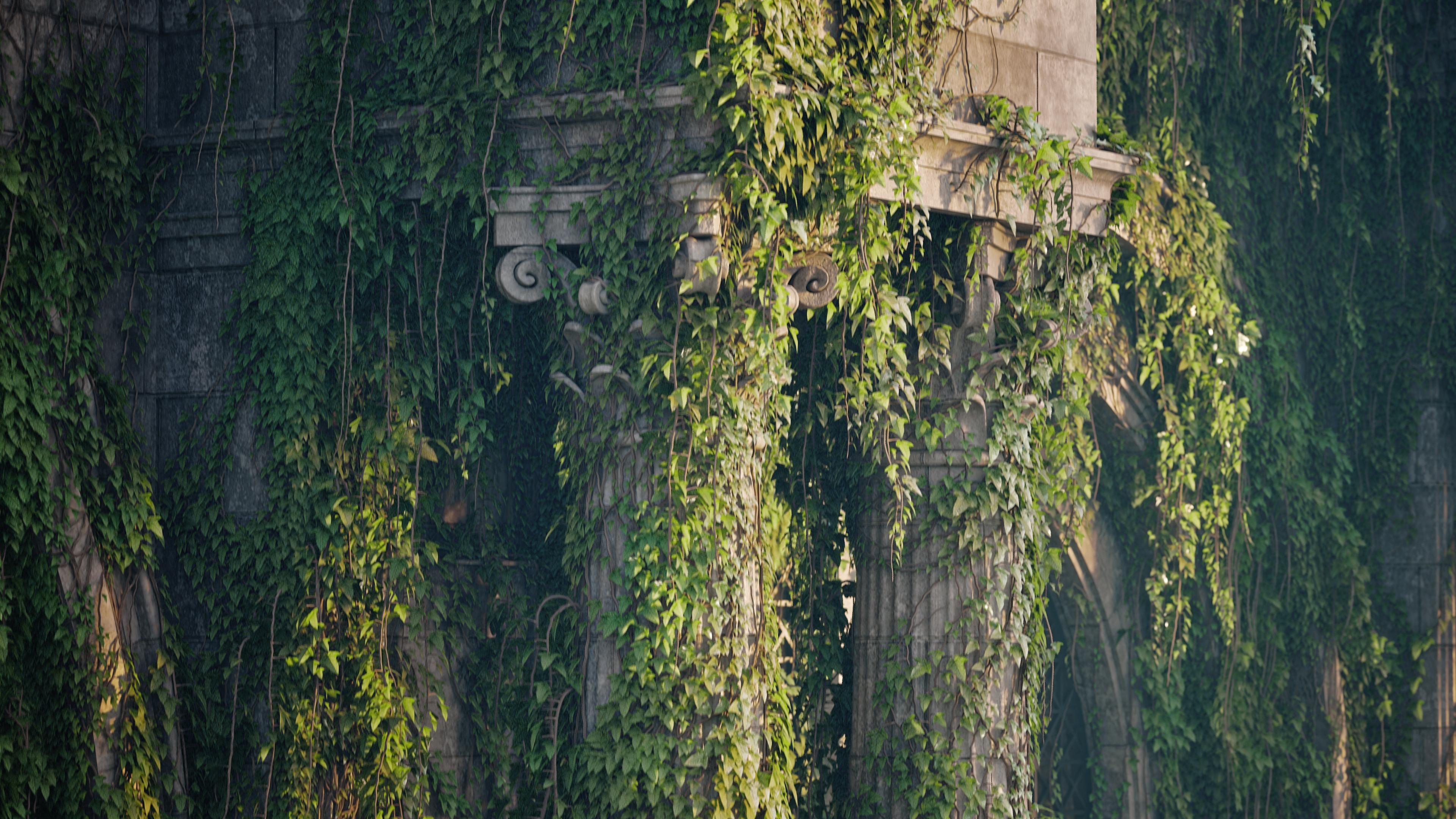 Ivy