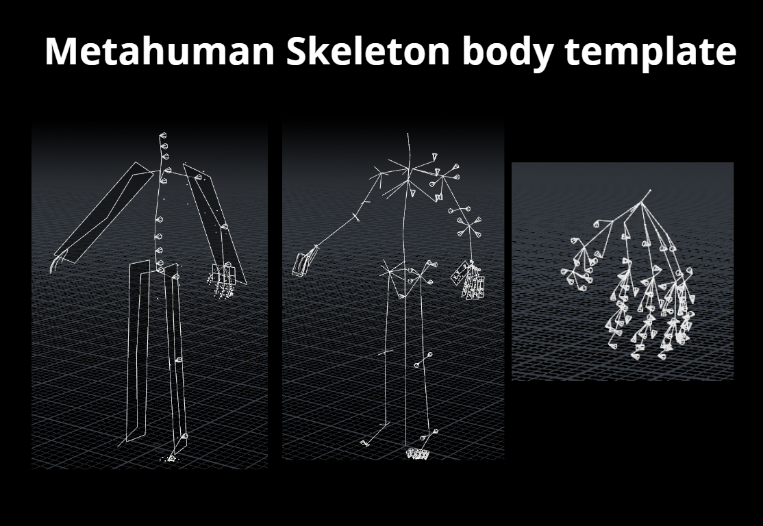 MH Skel Body Template