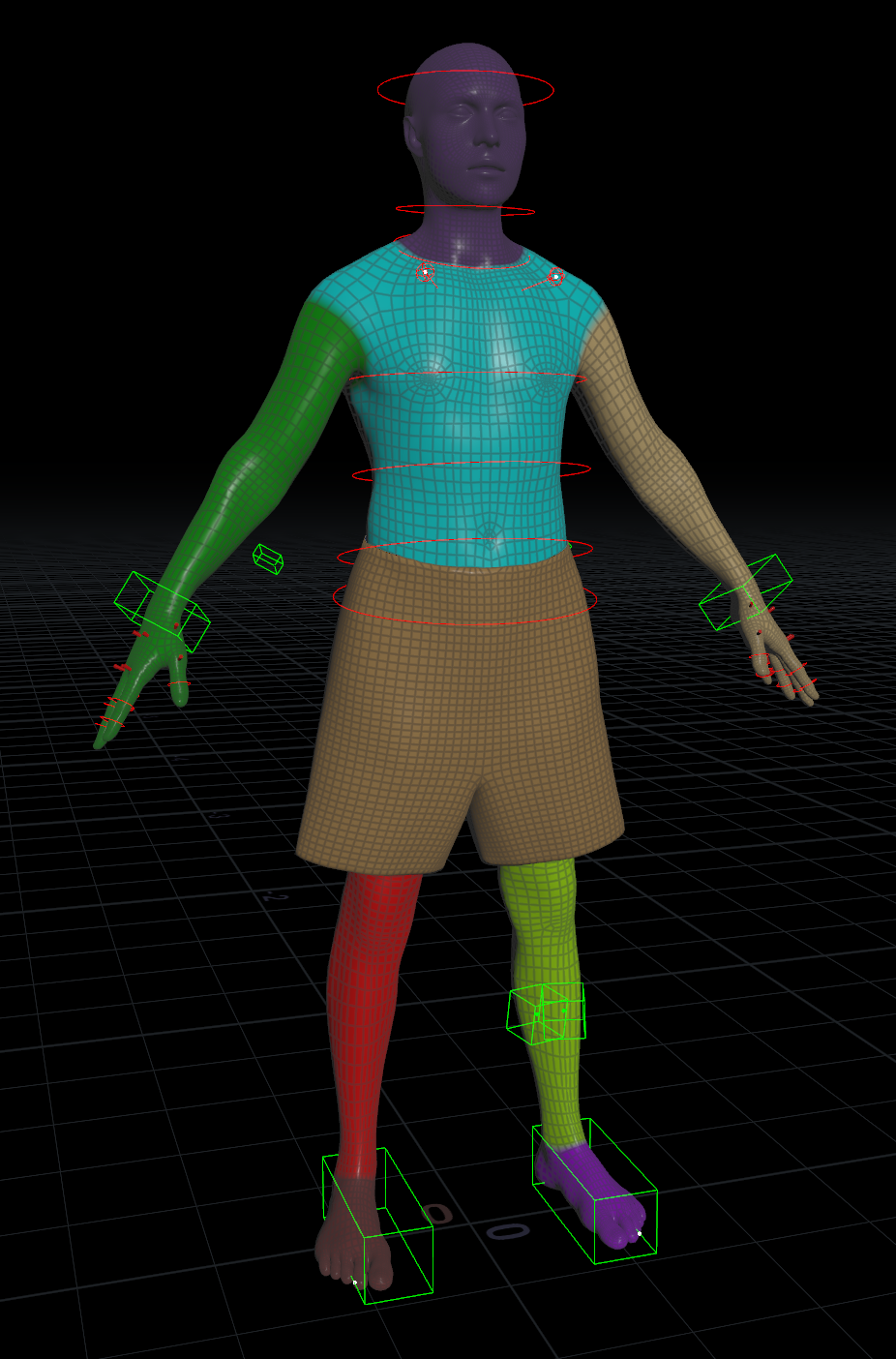 human_rig_embedded